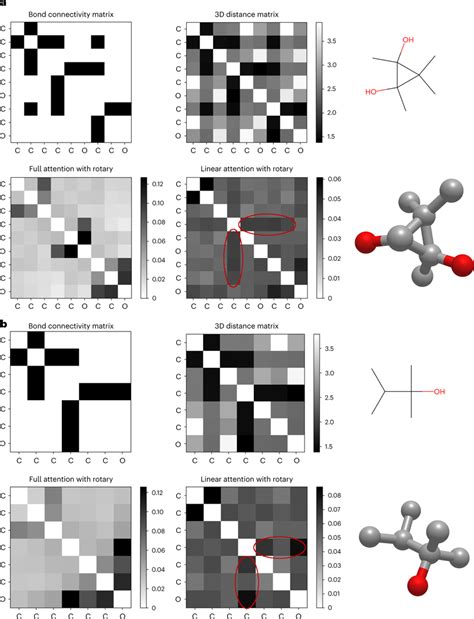 Ab Visualization Of The Learned Attention Map Using Either Full Or Download Scientific