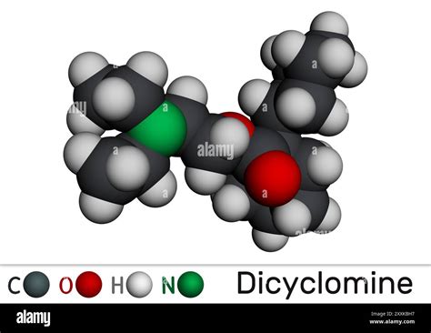 Dicyclomine Dicycloverine Molecule Antimuscarinic Drug Used To Treat