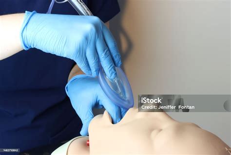Photo Libre De Droit De Masque Laryngé Insertion Dans Les Voies