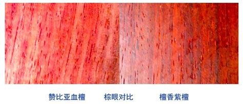 别再误人子弟了，红木人来教你怎么辨别小叶紫檀和血檀 知乎