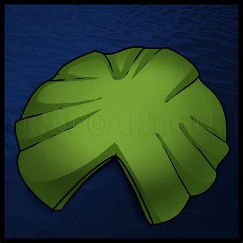 Lily Pad Sketch