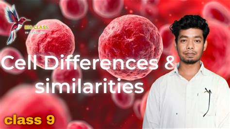 Differences And Similarities In Cell Class 9 By Rahul Sir Youtube