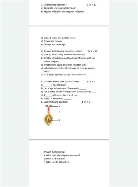Diagram Based Questions 1×55 Answer The Following Filo