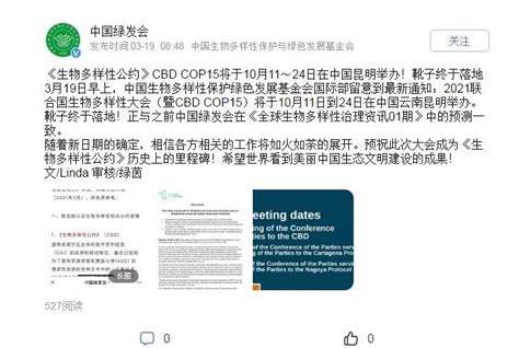 定了！cop15将于10月11日—24日在昆明举办澎湃号·政务澎湃新闻 The Paper