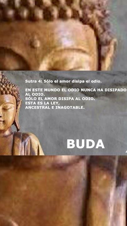 Buda Sutra 4 Solo El Amor Disipa El Odio El Guardián De Las Palabras