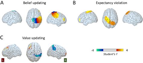 Activation In Frontoparietal Regions Correlated With Updating Processes Download Scientific