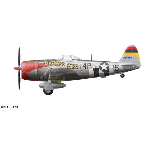P 47d Thunderbolt Big Ass Bird Ii Airplane Profile Etsy Australia