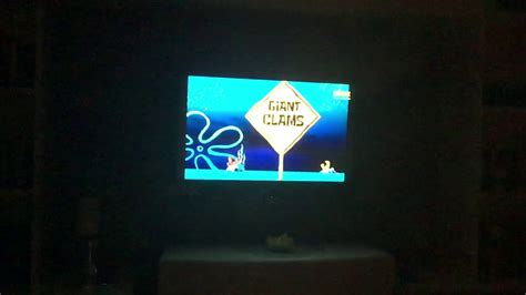 Spongebob Squarepants Educational Television Youtube