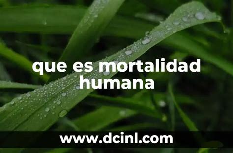 Que Es Mortalidad Humana Ejemplos Concepto Guia