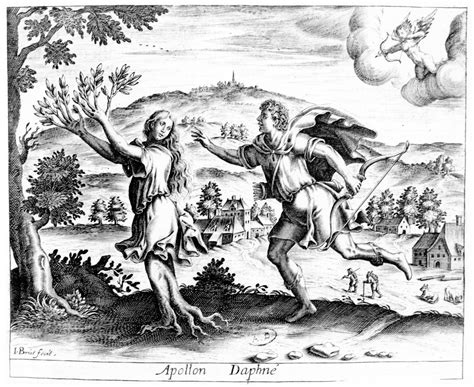 Daphne Fleeing From The Amorous Apollo Is Transformed Into A Bay Laurel Tree