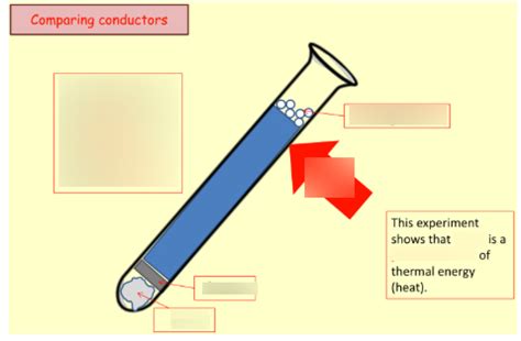 P IGCSE Co Ordinated Sciences Diagram Quizlet