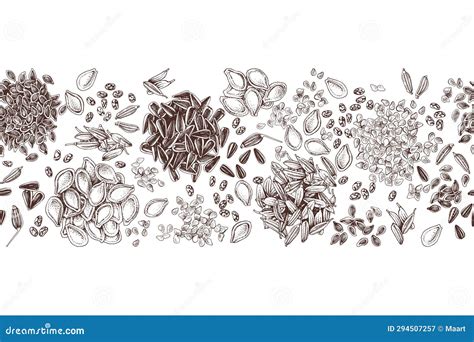 Edible Seeds Hand Drawn Seamless Border Vector Illustration