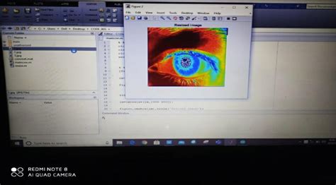 Stored Iris Biometrics Download Scientific Diagram