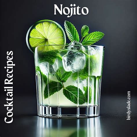 Nojito Mocktail Recipe Birdyslade Based Recipe