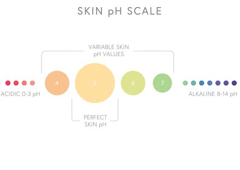 What Is Skin Ph Dr Barbara Sturm