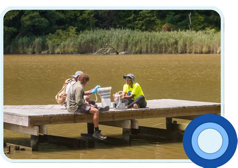 Bims Institute Our Work Bims