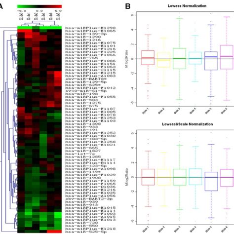 Two Way Hierarchical Clustering Of MiRNAs And Samples A Data From Each