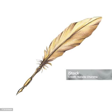 깃펜과 금속 팁이 있는 금색 펜 손으로 그린 수채화 그림 흰색 배경에 격리된 개체입니다 깃털펜에 대한 스톡 벡터 아트 및 기타