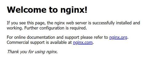 Building A Twin Wordpress Stack With Traefik Nginx And Docker