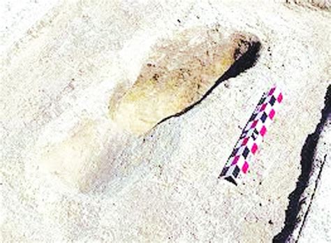 Ice Age Footprints Shed Light On North Americas Early Humans Oman Observer