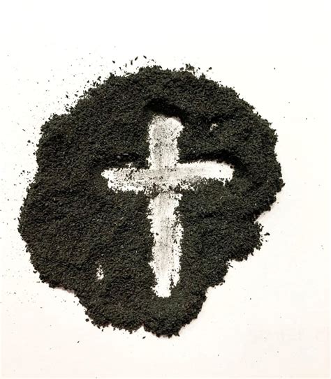 성공회 아침기도 오늘은 재의수요일입니다 생명과 흙에 대한 성찰의 하루이기를 기도드립니다 주님 당신께서는 모든 것의 근본이자 모든 것의 뿌리입니다 그리스도 공동체가