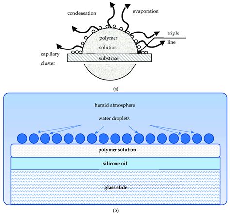 A Breath Figures Self Assembly Taking Place Under Drop Casting Is Download Scientific Diagram