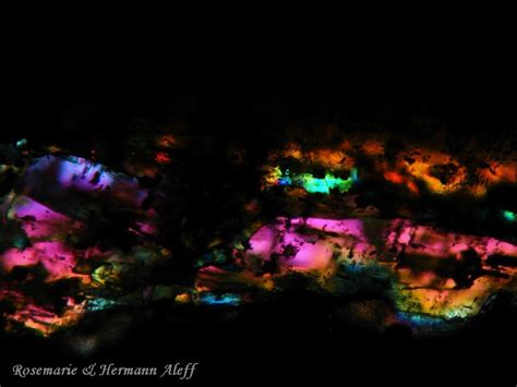 Thin Section Photos From Schorl Tourmaline Crystals By Rosemarie And Hermann Aleff