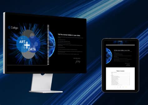 Art Data Data Visualization EBook Calligo