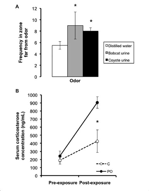 Preliminary Testing In Adult Females Showing A Bobcat 3 Ml And Download Scientific