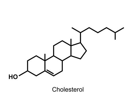 Cholesterol Huisartsenpraktijk De Rozenhof