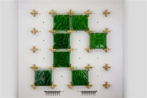 Grow Your Own Algae In An Indoor Micro Algae Farm Materialdistrict