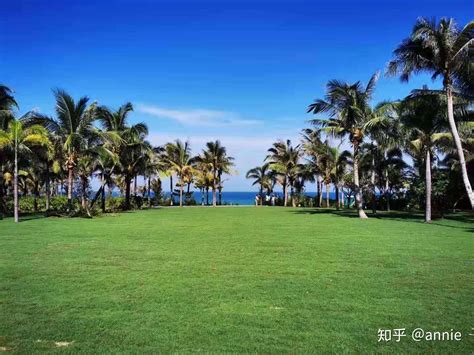 目的地婚礼场地清单 最具风情和温暖的三亚婚礼场地精选指南，看这一篇就够啦 知乎