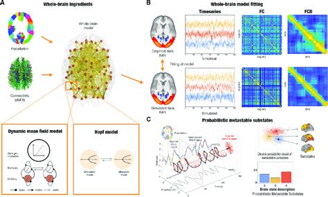 Whole Brain Modeling Of Brain States A The Fundamental Idea Is To Download Scientific Diagram
