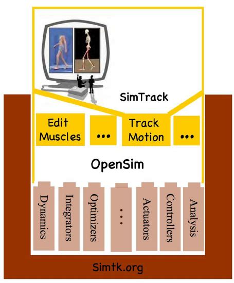 Schematic Of Opensim An Open Source Software System For Modeling