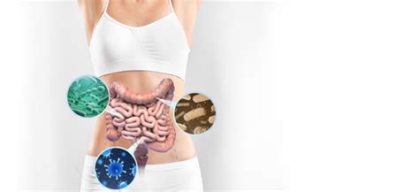 Gut Microbiome And Depression Whats The Connection Gateway Psychiatric