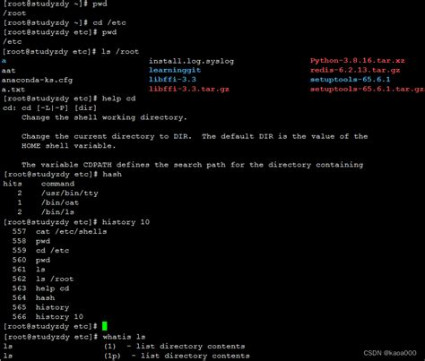 Linux入门攻坚——1、入门基础知识初识linux 初识 Csdn博客