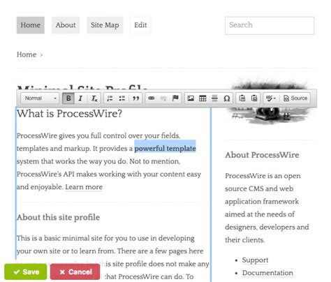 Warum Das Cms Processwire Eine Echte Alternative Zu Wordpress Ist T3n Digital Pioneers