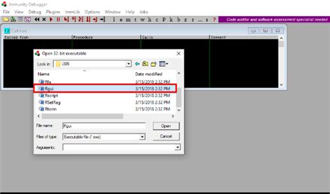 A Pentesters Guide To Exploiting Buffer Overflow Vulnerabilities