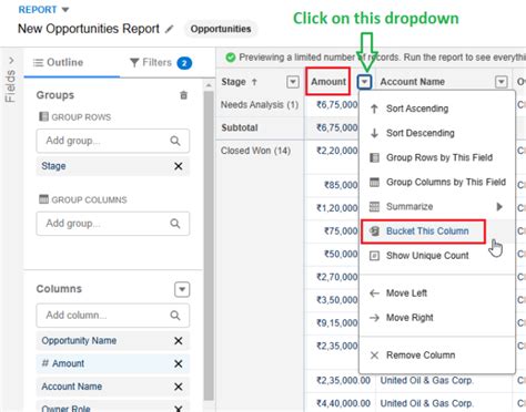 Bucket Field In Salesforce Simplify Your Data Categorization