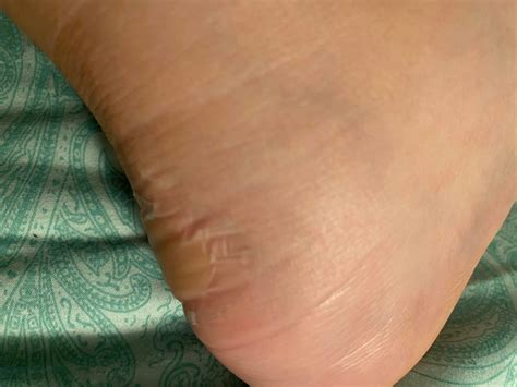 Hmf This Hello Kitty Pocket Knife Looking For A Company That Sells This Knife Or One That Can