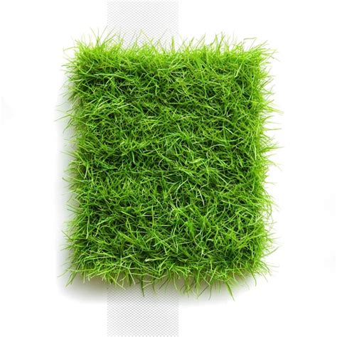 Page 8 Top Down Grass Psd High Quality Free Psd Templates For Download Freepik