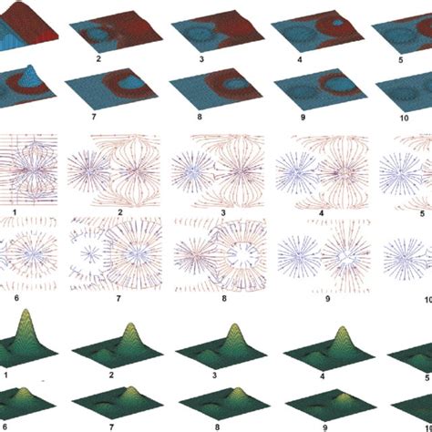 Co Evolution Of Coexisting Species A Evolution Of Population Densities
