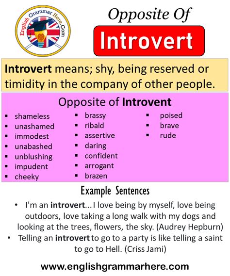 what is an introvert definition guide to introversion