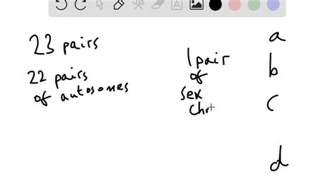 Solved Chromosomes That Play No Role In Determining The Sex Of The