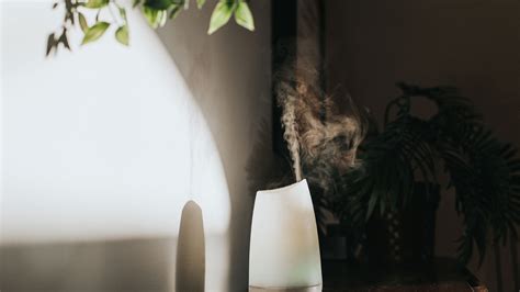 Air Purifier Vs Essential Oil Diffuser Whats The Difference