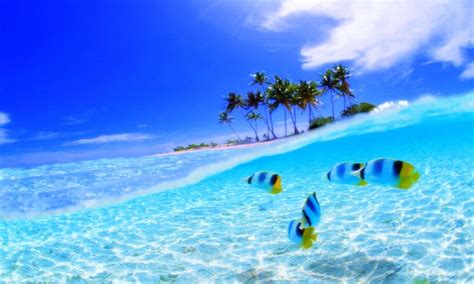 90 Crystal Clear Wallpapers WallpaperSafari