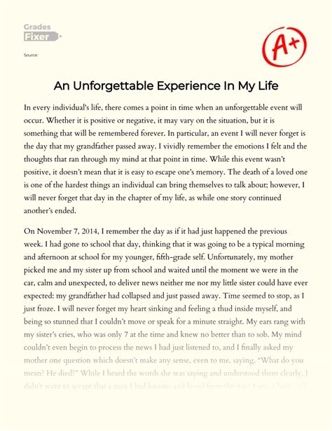 An Unforgettable Experience In My Life [essay Example] 719 Words