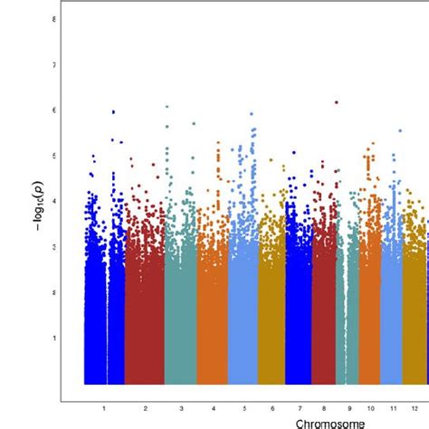 a manhattan plot showing the log 10 p values which test for