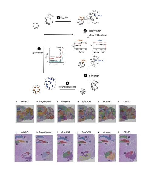 The Science Center For Computational Systems Biology Vanderbilt