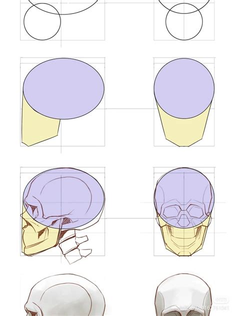This Drawing Of The Skull Structure Presents Detailed Illustrations Demonstrating The Subtleties
